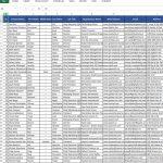 Buy USA Email List | USA Mailing Database - ProDatalabs